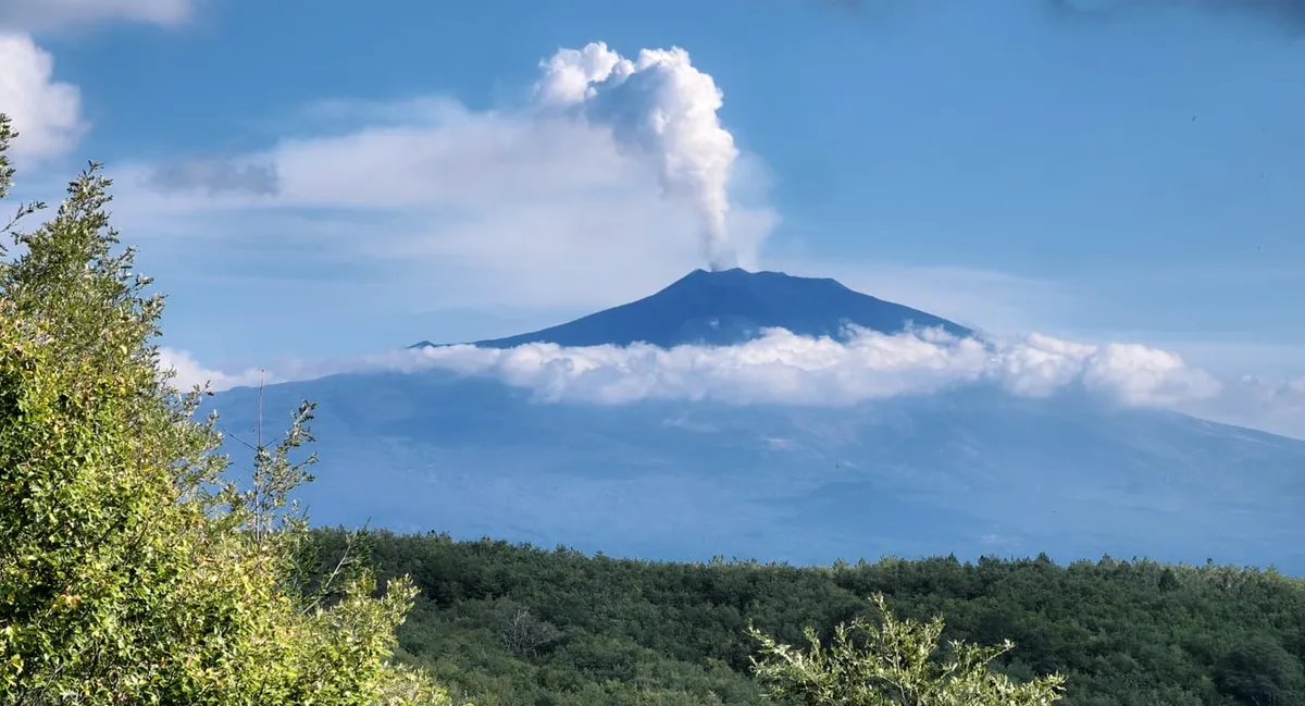 Il bollettino Funghi di 3B Meteo